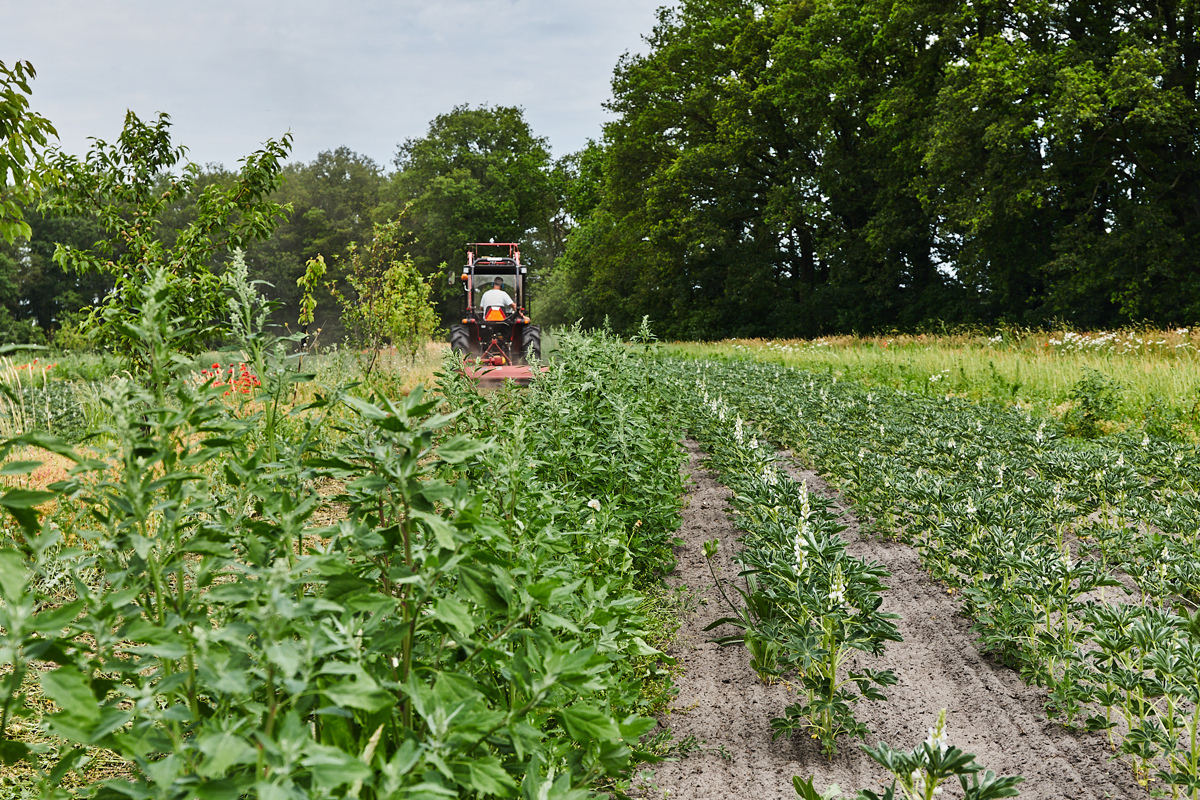 Pensioenfonds ING invests 100 million in ASR Dutch Farmland Fund